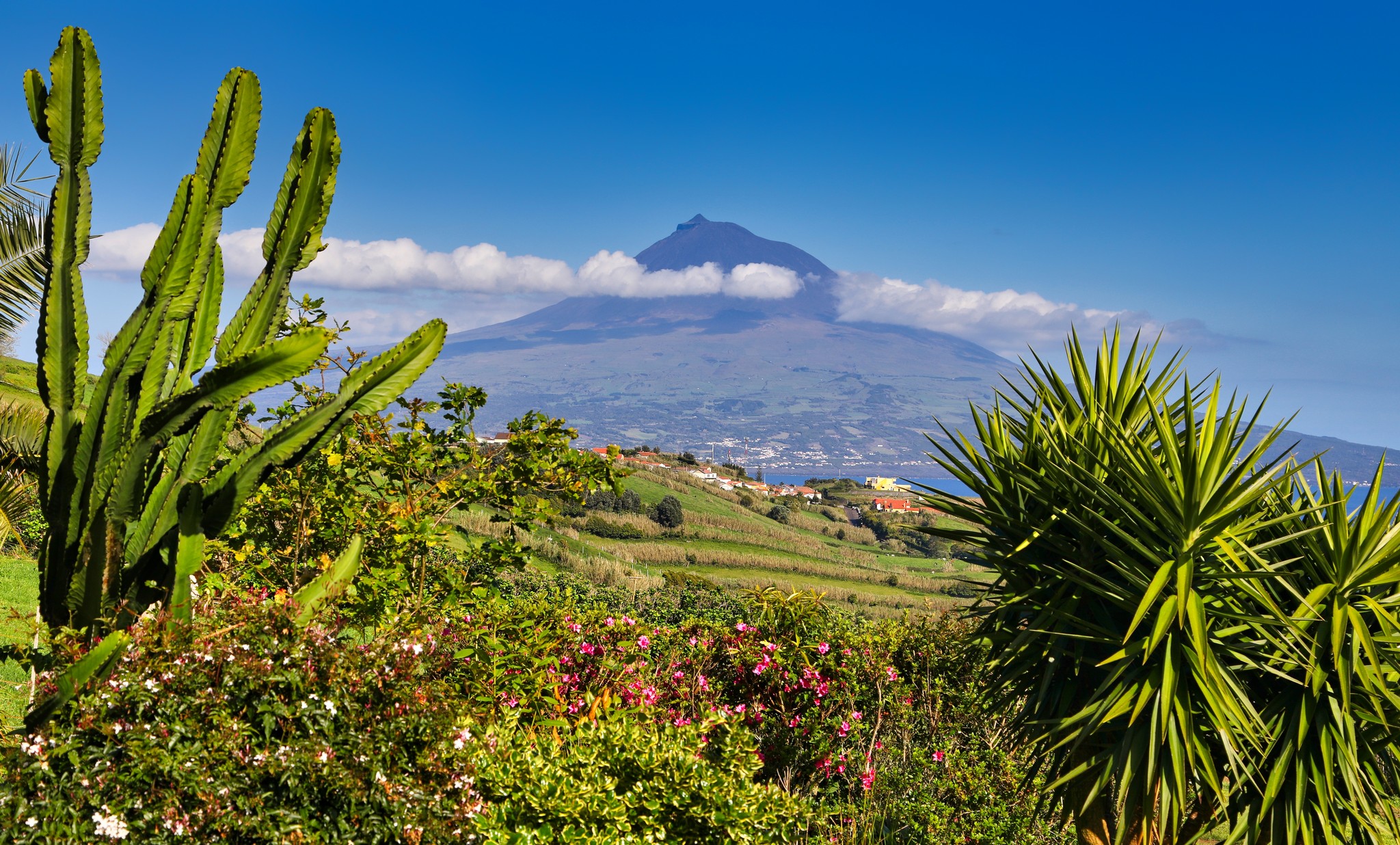 Azori | Turistična agencija Trud