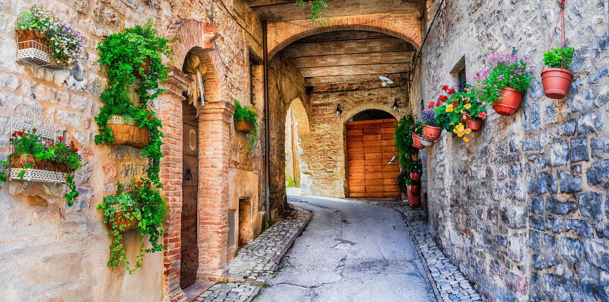 Ciper | Turistična agencija Trud